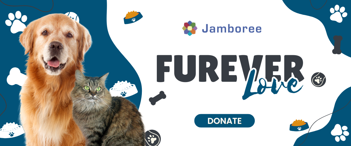 Furever Love Donation